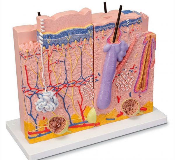 Home - ARF Scientific Traders